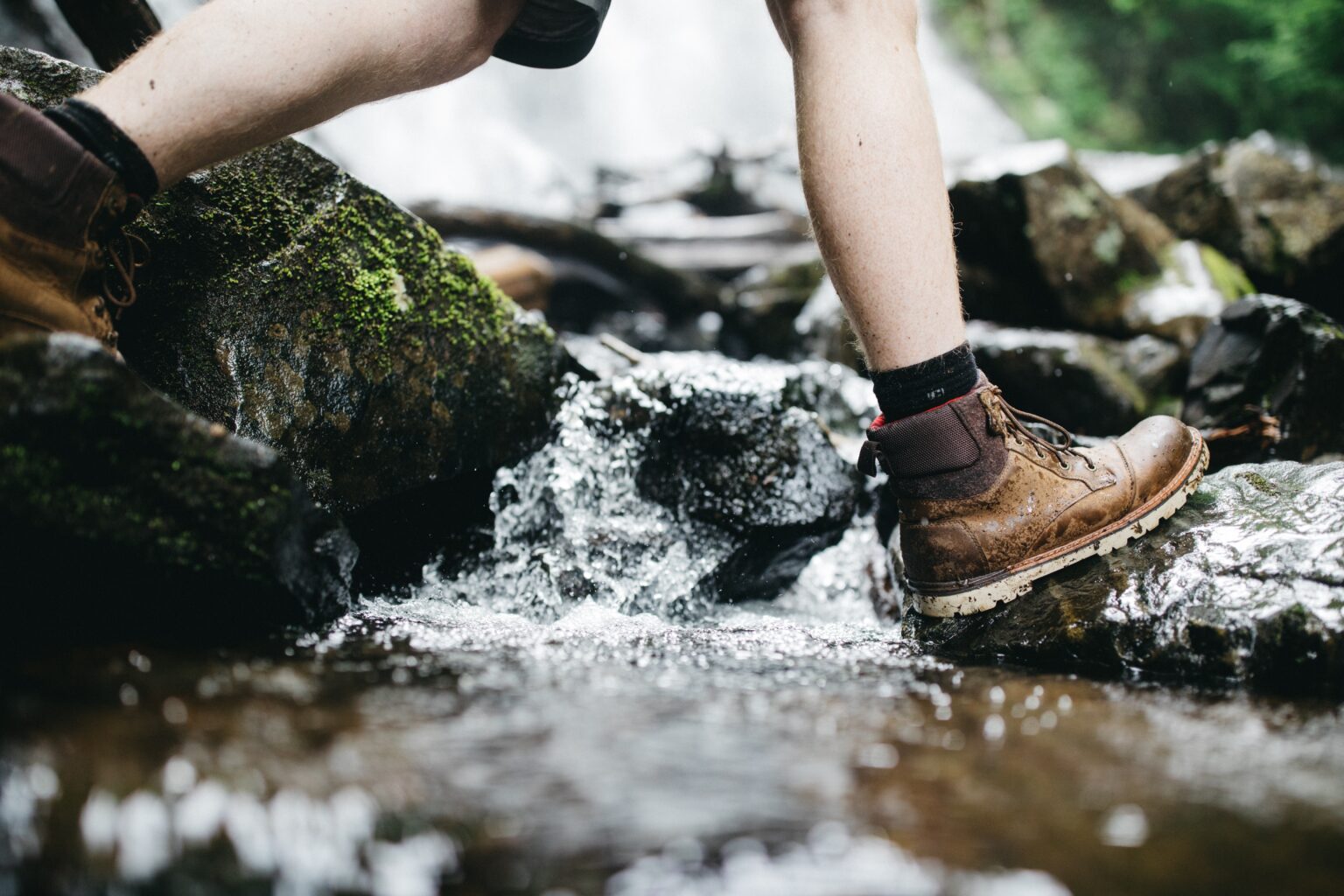 A deforestation-free call to action for the leather industry - Suston ...
